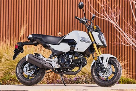 Chi Tiết Honda Grom 125 2025 Minibike Côn Tay Giá 129 Triệu đồng