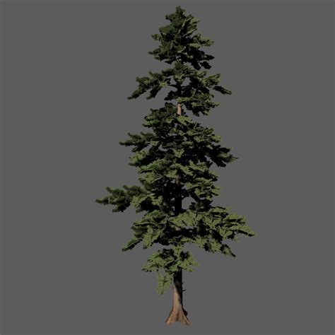 Pine Trees Free 3d Models Download Free3d