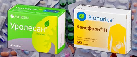 Чем Отличается Канефрон От Канефрона – Telegraph