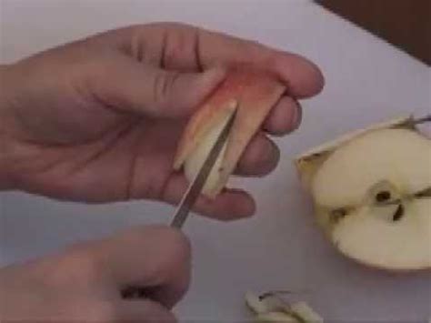 How To Cut Rabbit Shaped Apple Youtube
