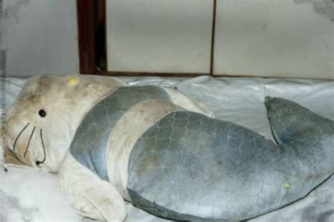 Hello Kitty Murder Forensic Tales