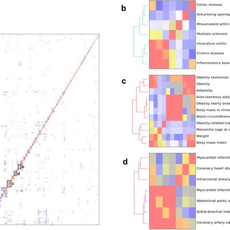Hierarchical Clustering Of NHGRI Human Traits A Dendrogram And Heat