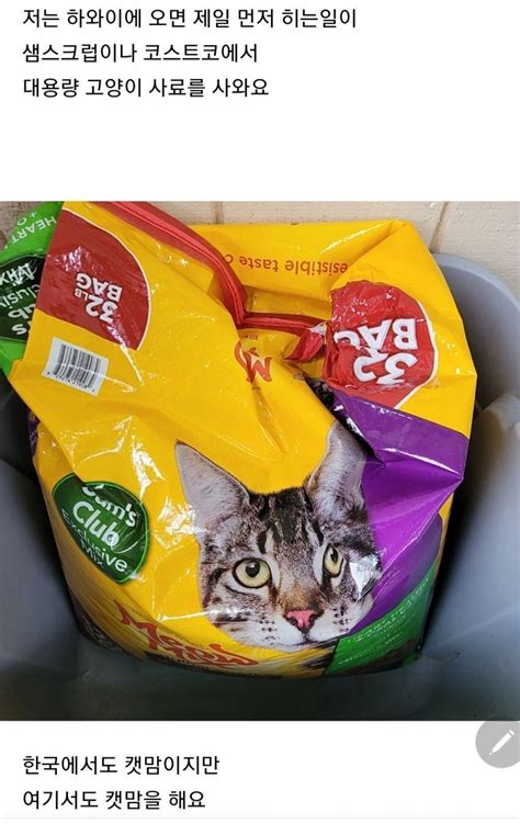 해외까지 진출한 K 캣맘 유머움짤이슈 에펨코리아