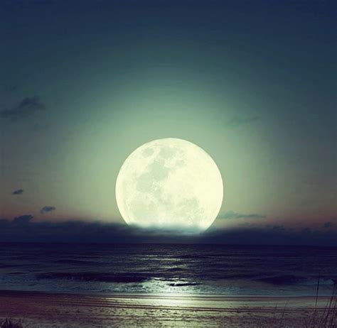 Phony Ppl Why Iii Love The Moon” Chrome Music