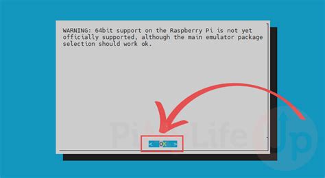 Play Retro Games On Your Raspberry Pi With RetroPie Pi My Life Up