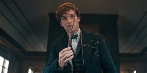 Fantastic Beasts Star Reveals What Hes Learnt From The Series