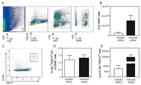Flow Cytometry Based Characterization Of Mast Cells In Human