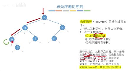 二叉树的遍历和二叉树的代码实现层序遍历二叉树代码 Csdn博客