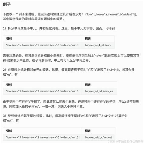 大模型基础组件 Tokenizer主流大模型的tokenizer是什么 Csdn博客
