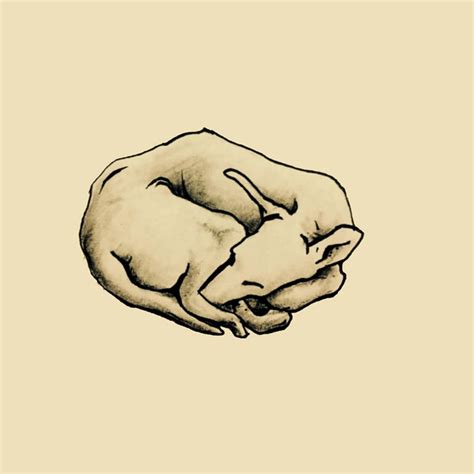 Kiltro Songs Events And Music Stats