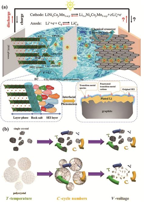 A Schematic Illustration Of The Operation Of Libs Based On Nickel Based Download Scientific