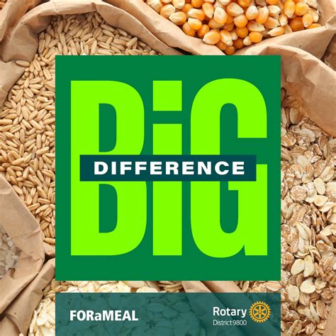 Make A Big Difference Relief Meal Assembly At Fed Square District 9800