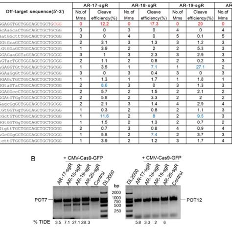 Validation Of Cas9 Off Target Binding Sites By The Tide And T7en I