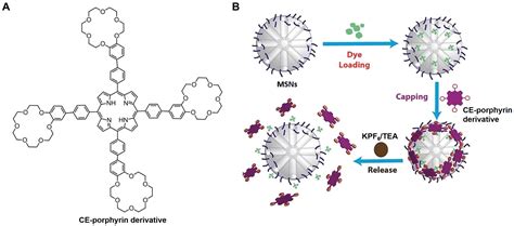 Macrocycle Based Supramolecular Drug Delivery Systems A Concise Review