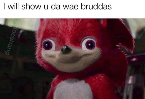 The Best 23 Ugandan Knuckles Meme Face Bodegacokeesz