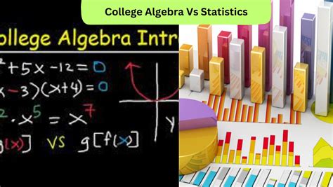 College Algebra Vs Statistics Guide To Graduate College Algebra Vs Statistics Guide To Graduate