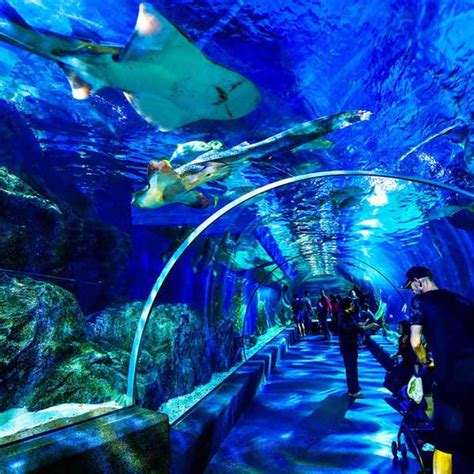 Siam Ocean World