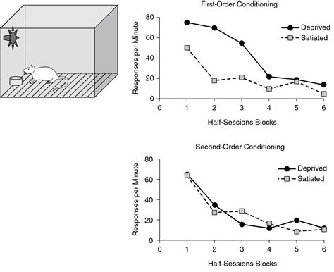 Forms Of Conditioning Classical Conditioning