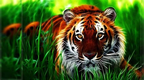 Cool Full Screen Wallpapers 4k Hd Backgrounds On Wallpaperbat
