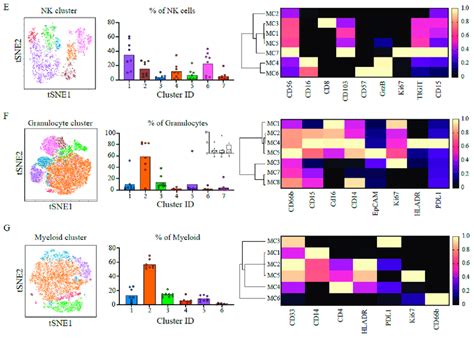 Immune Infiltration Into Pdac Is Heterogenous But With A Marked T Cell