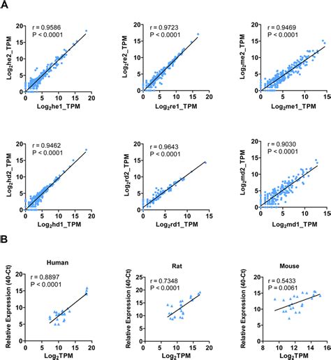 Profiling Of Human Rat And Mouse Serum Sev Mirnas A Correlation