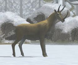 Synthetoceras The Jurassic World Wiki
