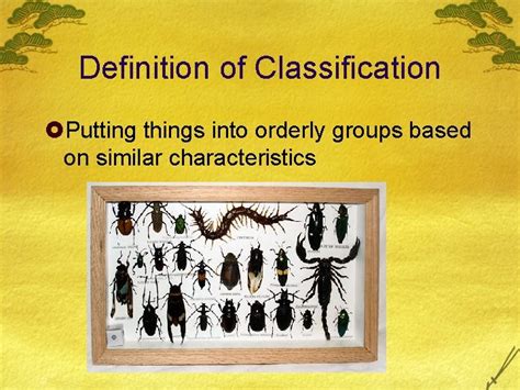 Classification Definition Of Classification Putting Things Into Orderly
