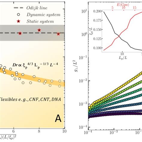 Diffusivity Of Nanofibers A Normalized Rotational Diffusivity Of