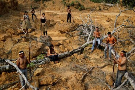 Opinion The Amazon Will Soon Burn Again The New York Times