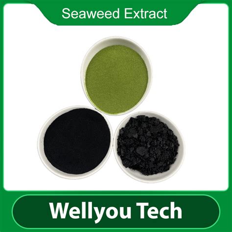 Organic Fertilizer Seaweed Extract Seaweed Fertilizer Wellyou Tech