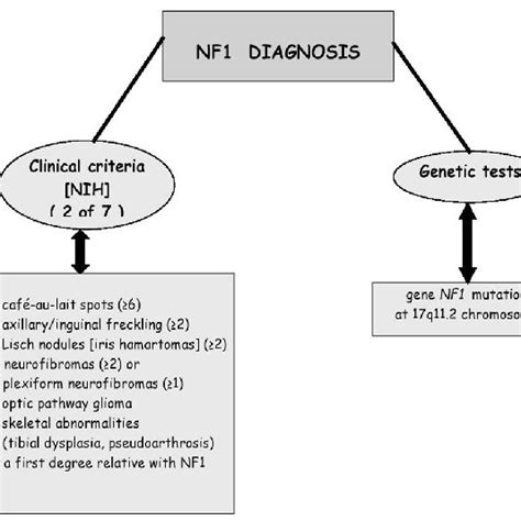 Diagnostic Criteria For Neurofibromatosis Type 1 Download Scientific