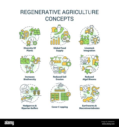Regenerative Agriculture Concept Icons Set Stock Vector Image And Art Alamy
