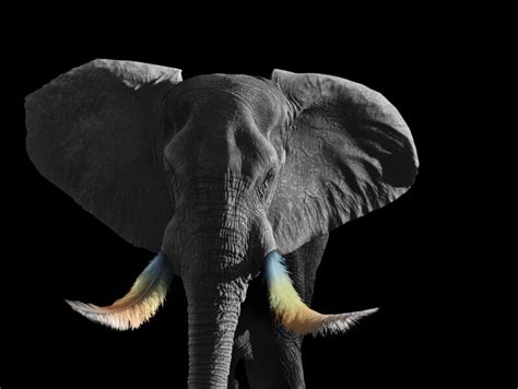 Beth Duffy On Linkedin Oncology Branded Fda Regulated