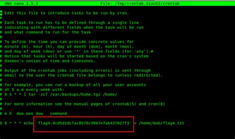 Thm Write Up Linux Challenges Planet Deskel