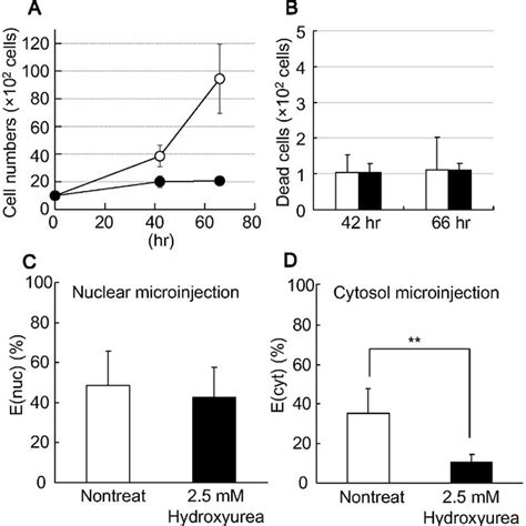 Synchronization Of Hela Cells By Hydroxyurea Cell Growth A And Cell