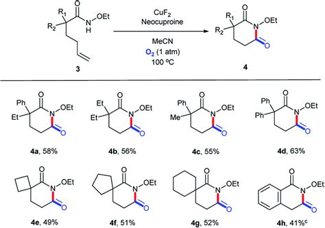 Substrate Scope For Glutarimide Derivatives Areaction Conditions Download Scientific