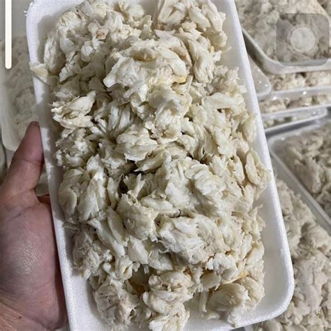 Fresh Pure Crab Meat ~12 Kg Fisherscart Seafood Store