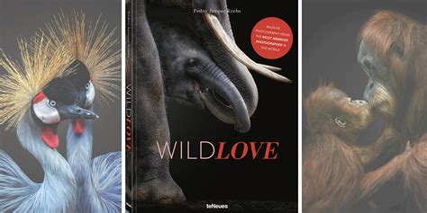 Wildlove Gli Animali Così Non Li Avete Mai Visti Foto Cult