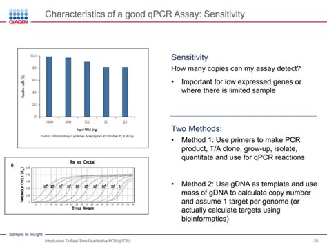 Introduction To Real Time Quantitative Pcr Qpcr Download The Slides Pdf