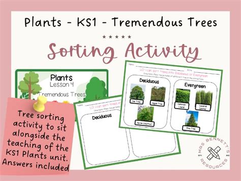 Plants Ks1 Tree Sorting Activity Sheet Teaching Resources