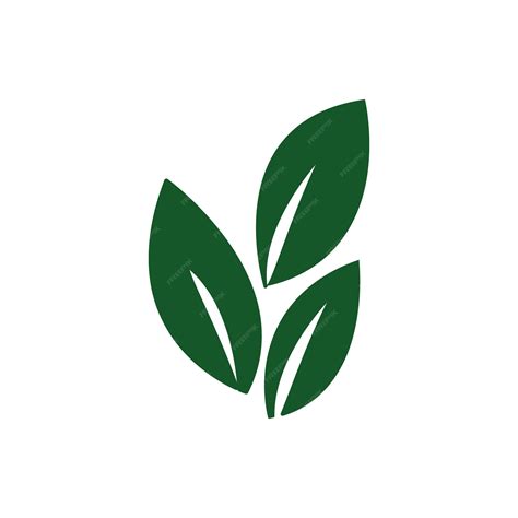 Premium Vector Drawing Of A Green Leaf