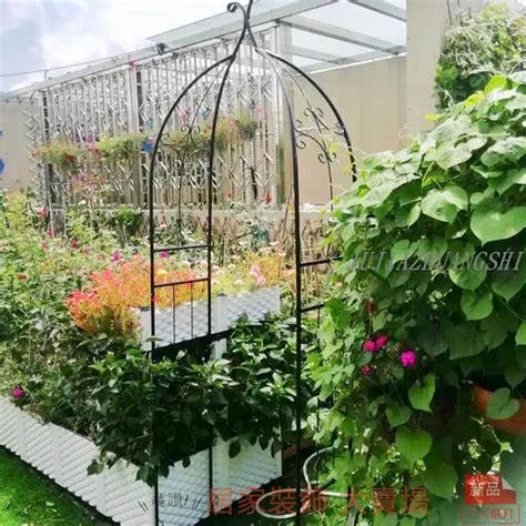 花架 攀爬架 園藝支架 家庭陽臺拱門花架爬藤架子花植物月季鐵線蓮玫瑰藤支架庭院攀爬架 蝦皮購物