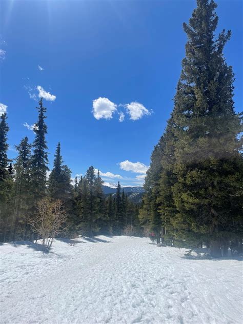 Auditrecruitment Internalaudit Hiringnow Emily Kirkpatrick