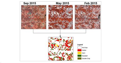 the crop type map developed from the multi dates of world view 2
