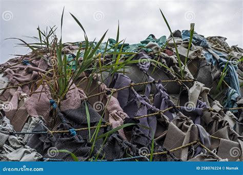 Camouflage Military Mesh Close Up With Sprouted Grass War In Ukraine