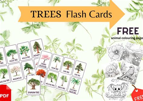 17 Printable Watercolor Tree Flashcards Trees Montessori Etsy