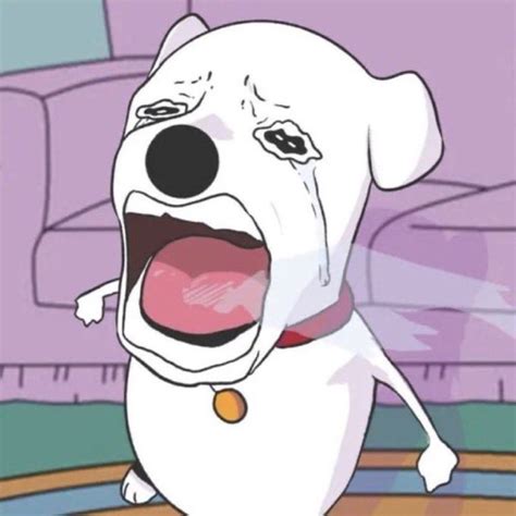 투디갤 대체 왜 쵸파 우는 짤이 서양에서 밈화 된 건지 모르겠네