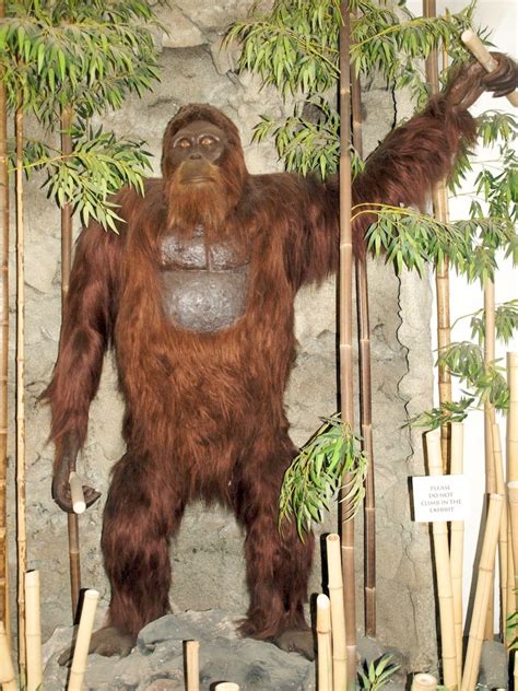 Gigantopithecus Walking Bigfoot Walking S Find And Share On Giphy