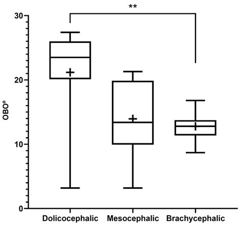 Preliminary Findings On The Morphometric Characteristics Of The