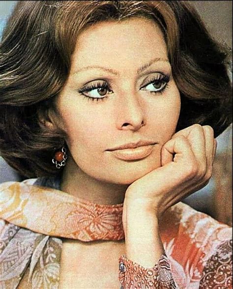 Sophia Loren 1971 Sophia Loren Sofia Loren Sophia